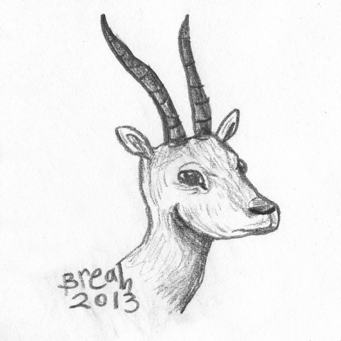 Impala sketch drawing – Art By Breah